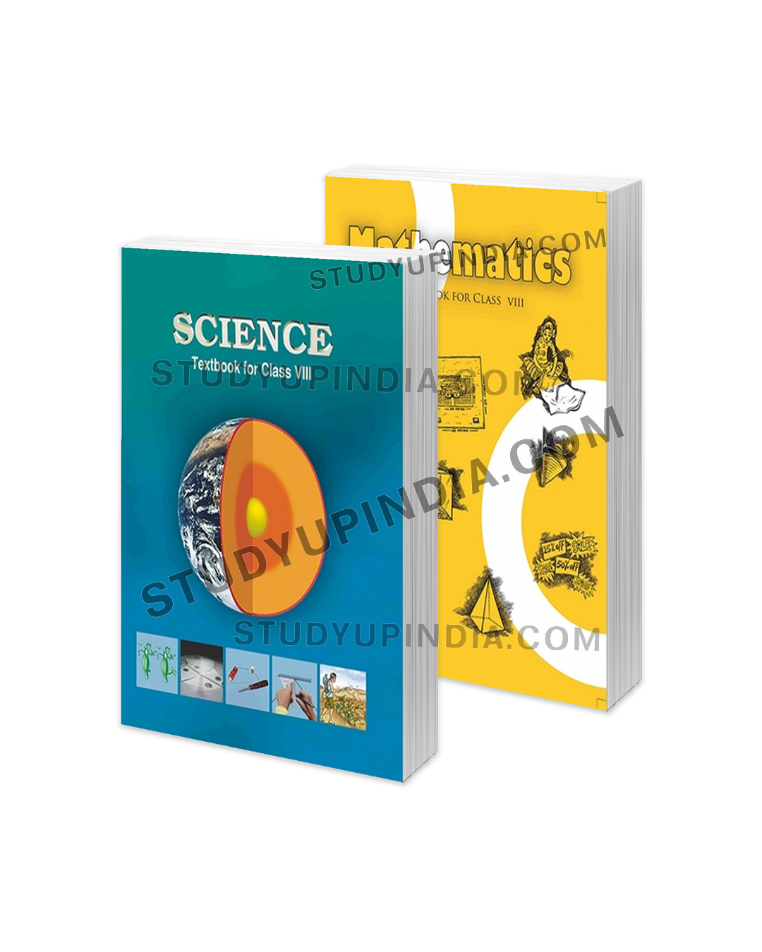 NCERT Class 8 Math & Science ( English Medium ) 2 Books